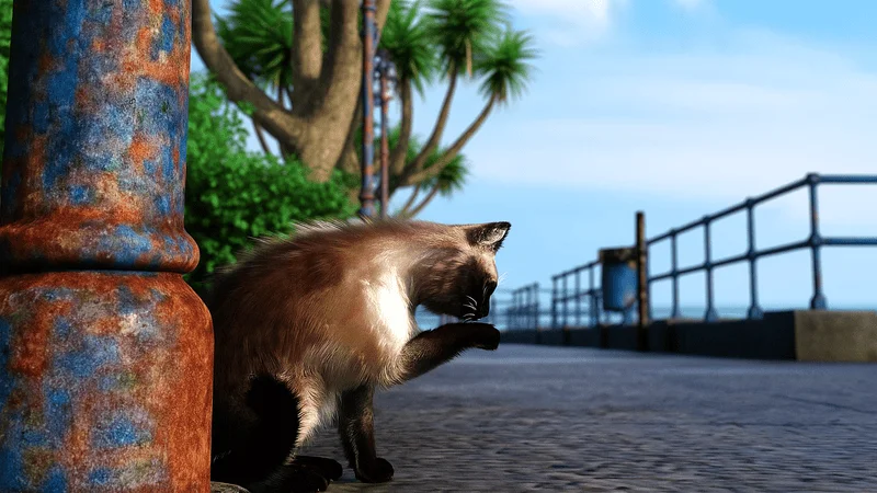 LISC: Walkthrough Guide